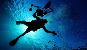Siesta Key Scuba Diving - Sites, Equipment Rental and Tips 2024